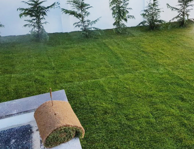 Relva Artificial | Relva Natural | Desígnios da Natureza